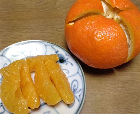 伊予柑 越智農園へようこそ