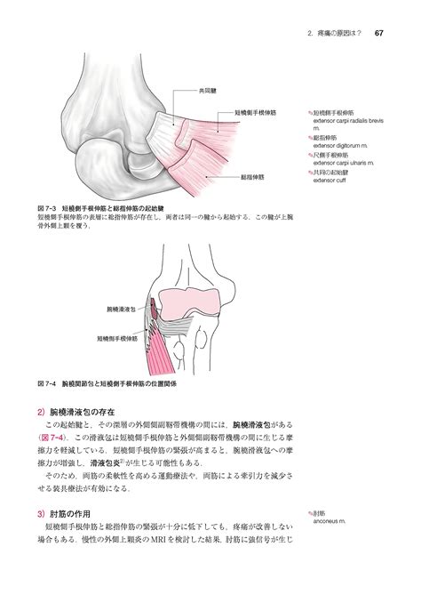 メカニカル 運動器疾患の「なぜ？」がわかる臨床解剖学 通販