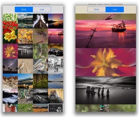 图片查看器SwiftFlickrApp Swift编程