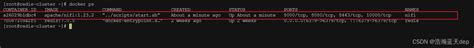 Docker安装apache Nifinifi Docker Csdn博客