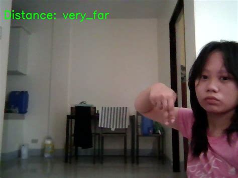 Digital Signal Processing Object Detection Dataset And Pre Trained Model By Dsp Final Proj