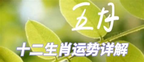 生肖牛