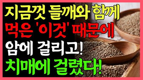 아직도 들깨와 이것을 함께 드시나요 암과 치매에 걸릴 수 있습니다 들깨와 최악 궁합 음식 3가지와 몸의 염증과 독소를 쏙 빼주는 최고 궁합음식 3가지 건강 정보 들깨