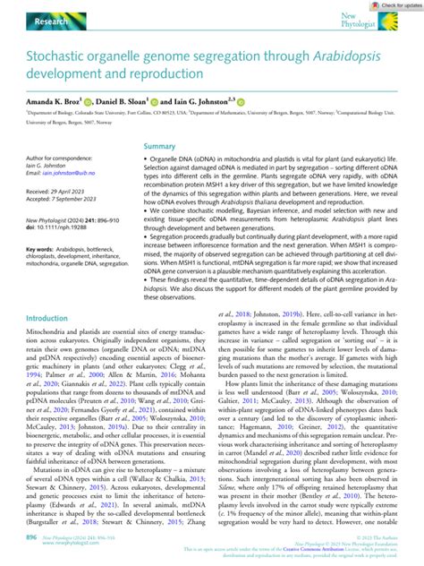 New Phytologist 2023 Broz Stochastic Organelle Genome Segregation Through Arabidopsis