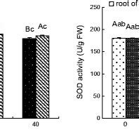 The Effect Of Different As Concentrations Sod Activity In The Shoots