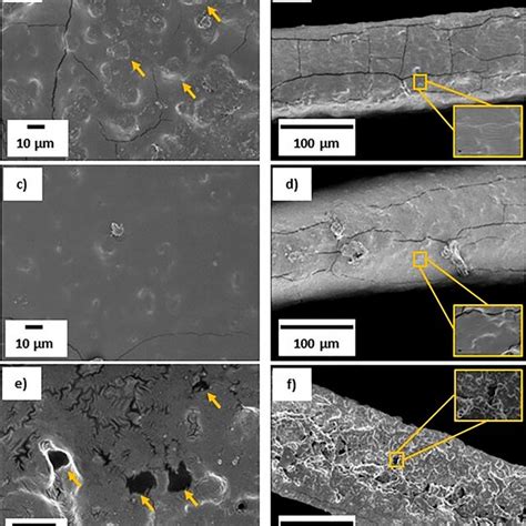 Sem Micrographs For A Cts Surface B Cts Cross Section C S2 Surface D