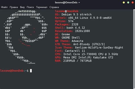 screenfetch отобразить информацию о системе linux в терминале с ascii