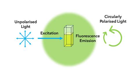 Circularly Polarised Luminescence Understanding The Principles And Applications