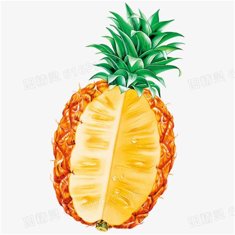 黄色切开的菠萝图片免费下载 PNG素材 编号z2ri94knd 图精灵