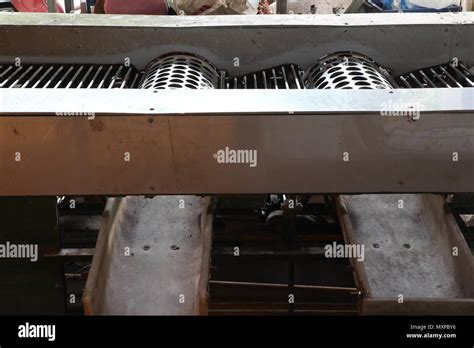 Fruit Sorting Grading Hi Res Stock Photography And Images Alamy