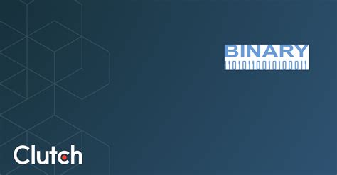 Binary Global Limited Services And Company Info