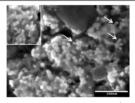 Figure 1 From Validation Of Bending Test By Nanoindentation For Micro