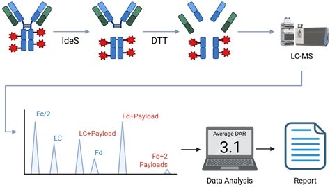 Drug Antibody Ratio Analysis Dar