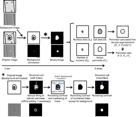 Figure 4 From Development Of On Chip Multi Imaging Flow Cytometry For