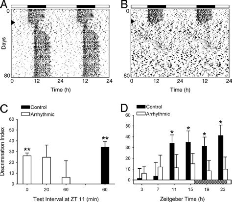 Hippocampal Dependent Learning Requires A Functional Circadian System Pnas
