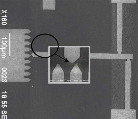 Pointer Structures 2μm Thick Au Under Tensile Stress With Vernier