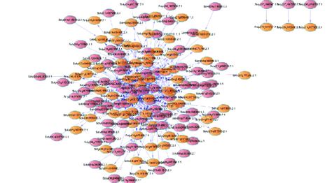 Co Expression Network Of Between Lncrnas And Mrnas Download