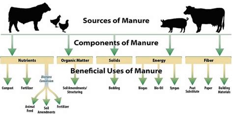 Cornell Cooperative Extension The Value Of Manure Told Through Five