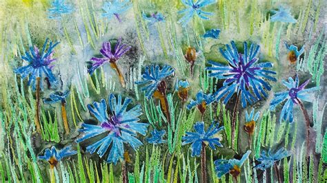 Как нарисовать цветы васильки масляной пастелью Youtube