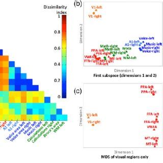 Second Order RSA Of Functional Areas A Matrix Of All Pairwise Download Scientific Diagram