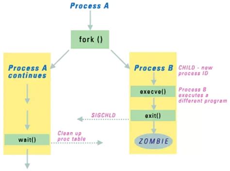 粉丝问答6 子进程进程的父进程关系 知乎