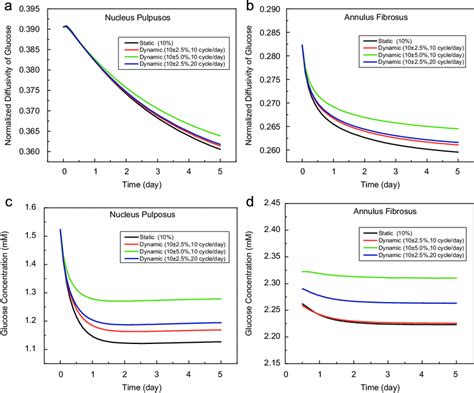 Effects Of Dynamic Compression On Averaged Diffusivity Of Glucose
