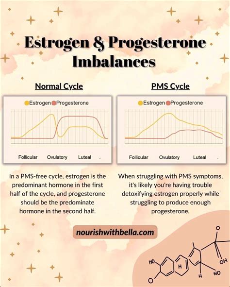 Progesterone Deficiency The Delicate Relationship Between Stress And