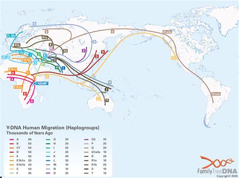 Genetic Genealogy