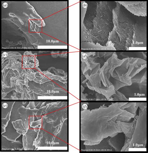SEM Images Of CNCs GO And CNCs GO A SEM Images Of CNCs At 5000 Download Scientific Diagram