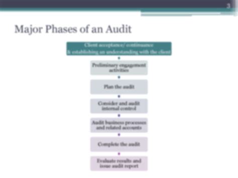 SOLUTION Lecture Chapter Audit Planing Types Of Audit Tests Studypool