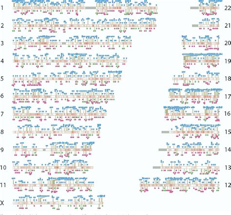 Dna Integration Semantic Scholar