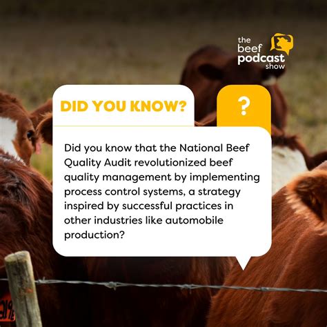 The Beef Podcast Show • By Wisenetix On Linkedin The National Beef