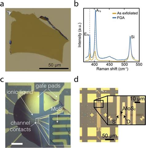 Optimal Field Effect Transistor Operation For High Resolution Biochemical Measurements Review