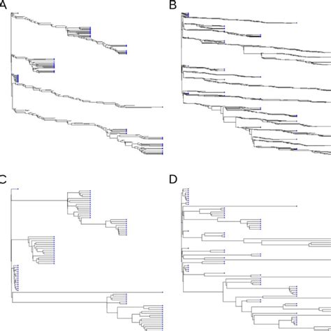 Examples Of How Repeated Sampling With Different Contact Tracing Levels Download Scientific