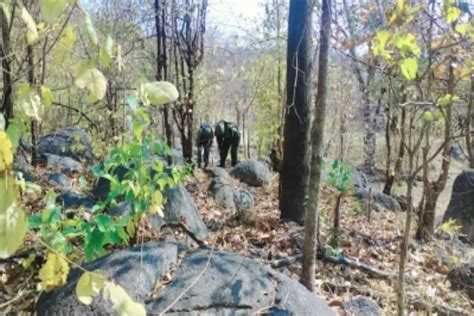 Chhattisgarh 10 Naxals Killed In Sukma District