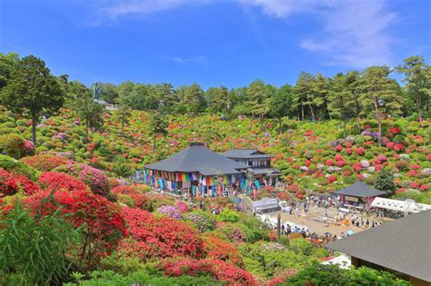 塩船観音寺THE GATE日本の旅行観光マガジン観光旅行情報掲載