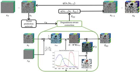 Ddsr Degradation Aware Diffusion Model For Spectral Reconstruction From Rgb Images