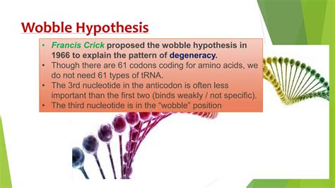Genetic Code Pptx Programming Languages Computing