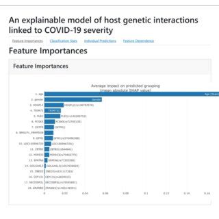 A ExplainerDashboard Displayed SHAP Feature Importance Plot The Plot