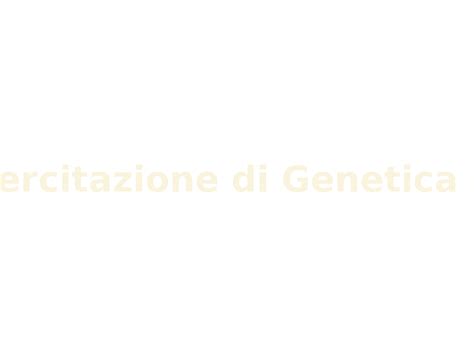 Esercitazione 8 Docsity