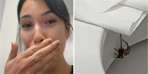 Model Might Never Go To The Toilet Again After Sitting On Worlds