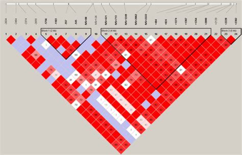 Estimates For Linkage Disequilibrium Ld And Location Of Major
