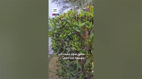 هطول أمطار خفيفة إلى متوسطة على مدينة النجف Youtube