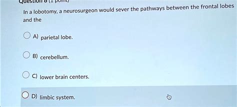 SOLVED In A Lobotomy A Neurosurgeon Would Sever The Pathways Between