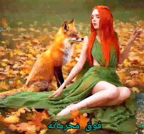 حیوان و انسان
