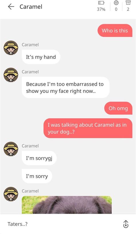 Caramel Is So Adorable Im Gonna Squish Him R Picka30daystolove