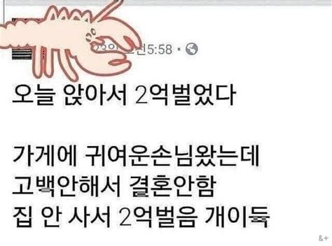 봐도봐도 재밌는 웃긴사진 짤 모음 네이버 블로그