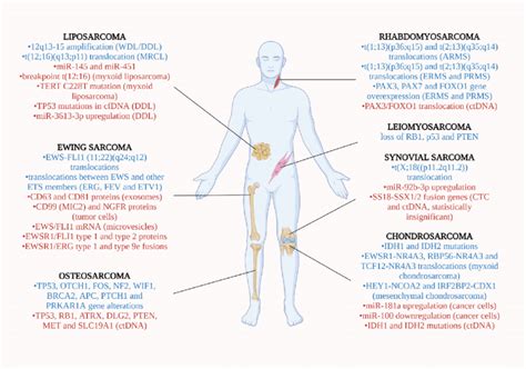 Soft Tissue And Bone Sarcomas Most Common Locations Blue Fonts