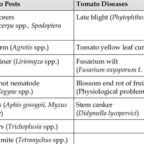Important Pests And Diseases Of Tomato Download Scientific Diagram