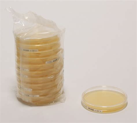 Yeast Glucose Cm Agar Ygc 146348